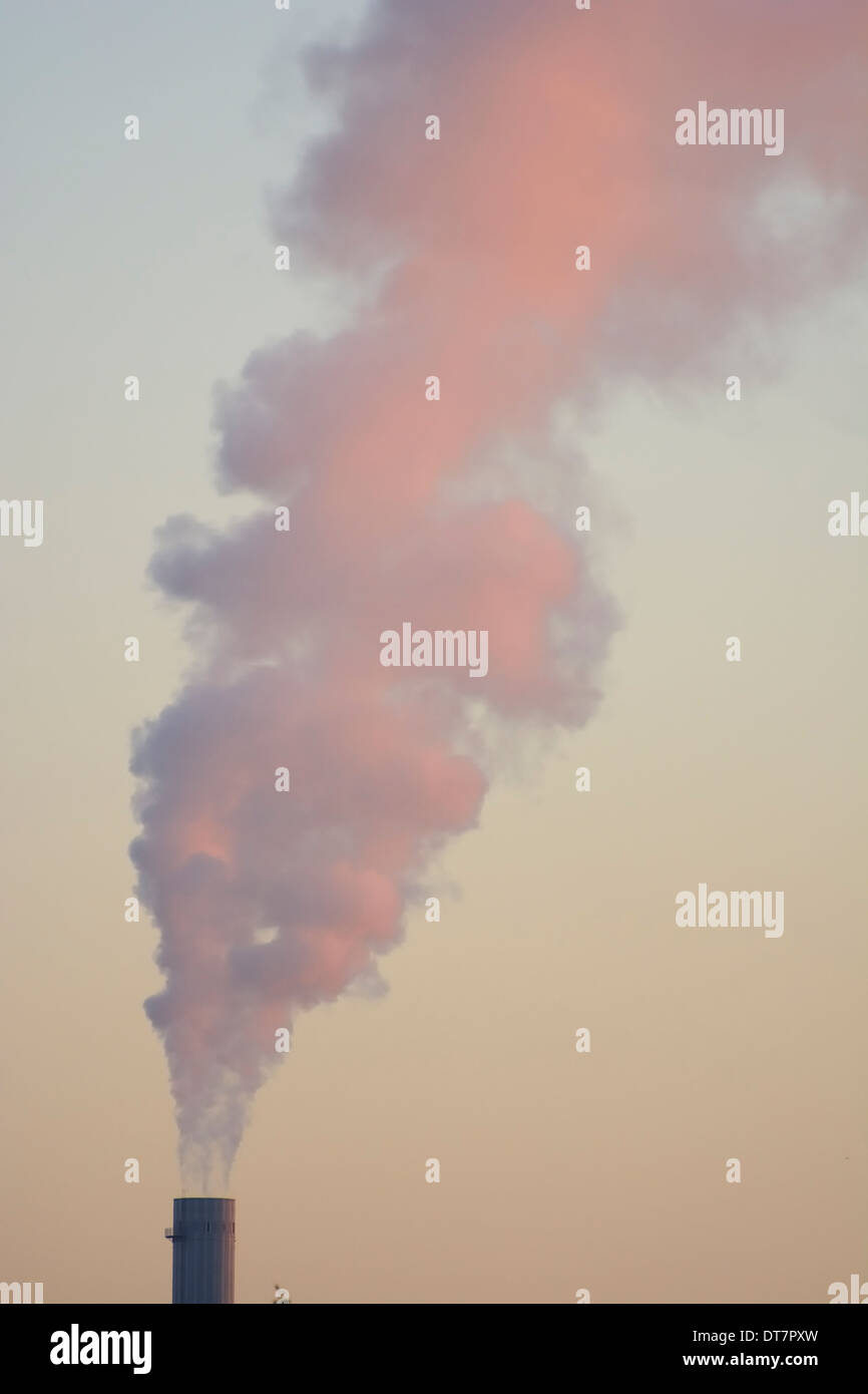 Do Air Pollution and Global Warming Share a Direct Link?