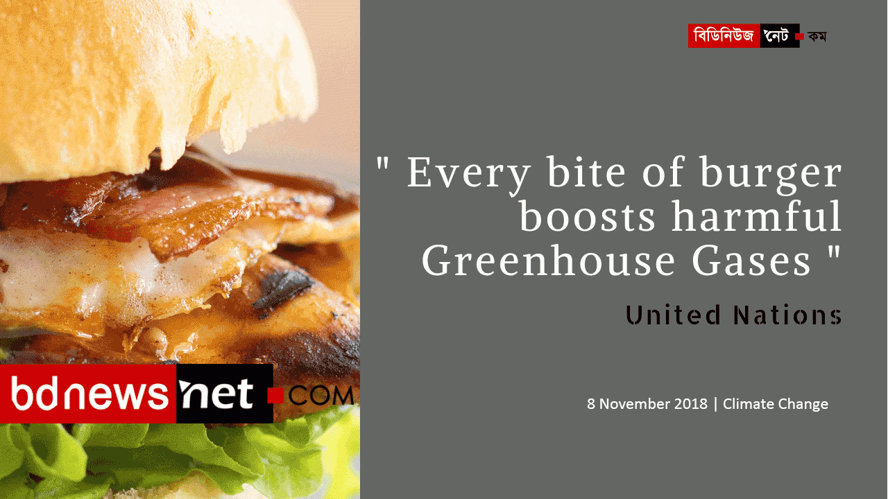 Beef or Planet? How Your Burger Contributes to Global Warming
