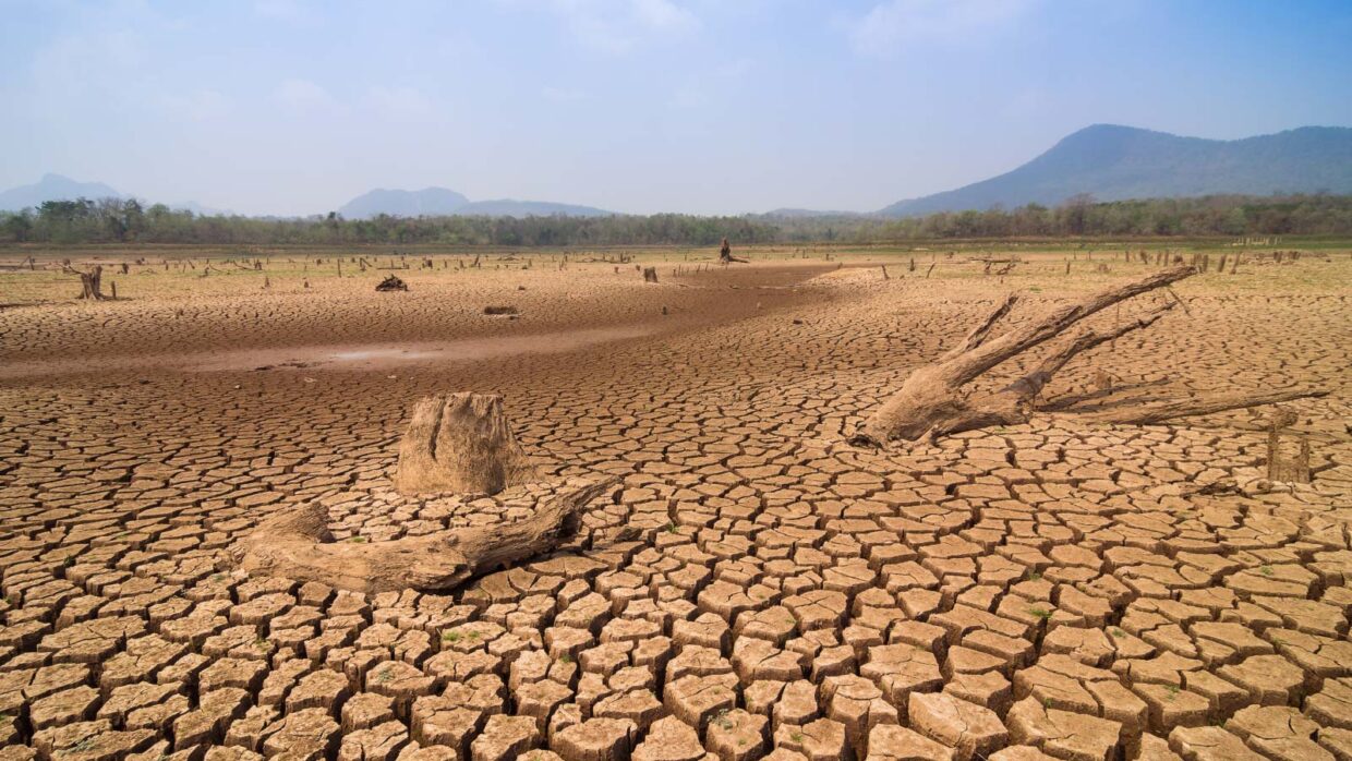 What Is Moderate Climate? Finding the Sweet Spot Between Extremes