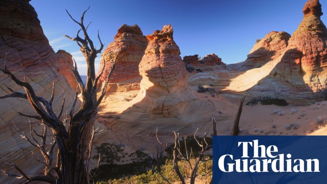 Is Climate Change Natural or Man-Made? The Real Story