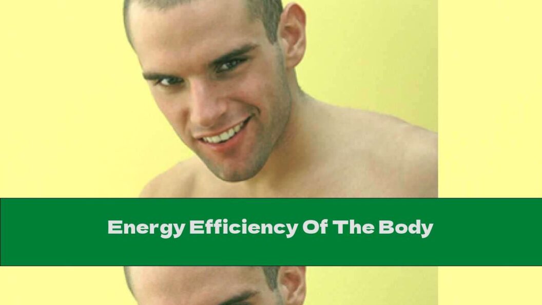 How Is Energy Conserved in the Human Body? The Marvel of Biological ...