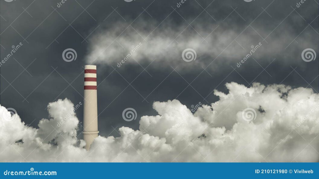 Cow Farts Burps & Global Warming: What’s the Real Story?