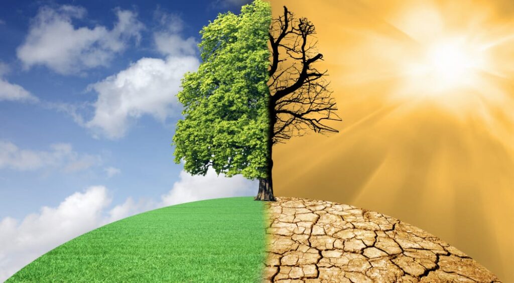 UV Protection & Global Warming: A Surprisingly Connected Story