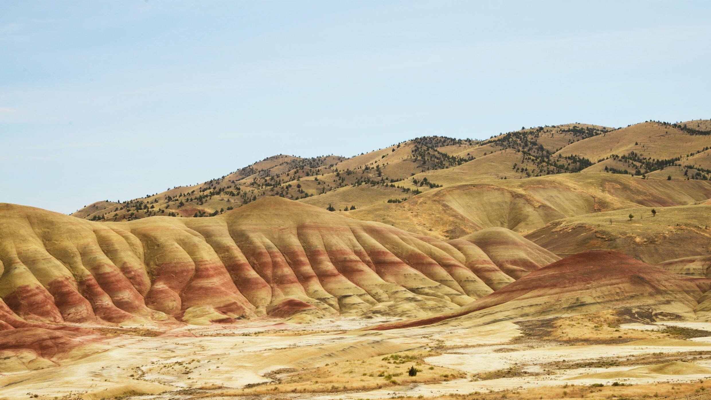 What Is the Climate of Temperate Deciduous Forests? Four Distinct ...