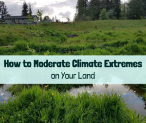 What Is Moderate Climate? Finding the Sweet Spot Between Extremes