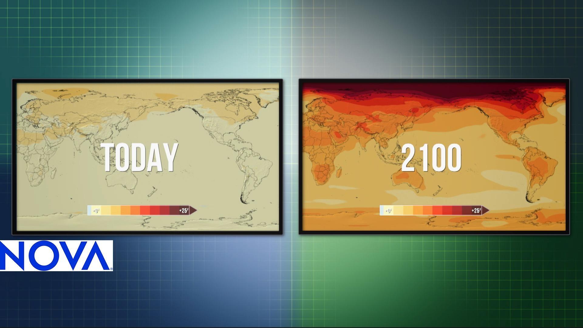 Carbon Loops: How the Carbon Cycle Shapes Earth’s Climate Future