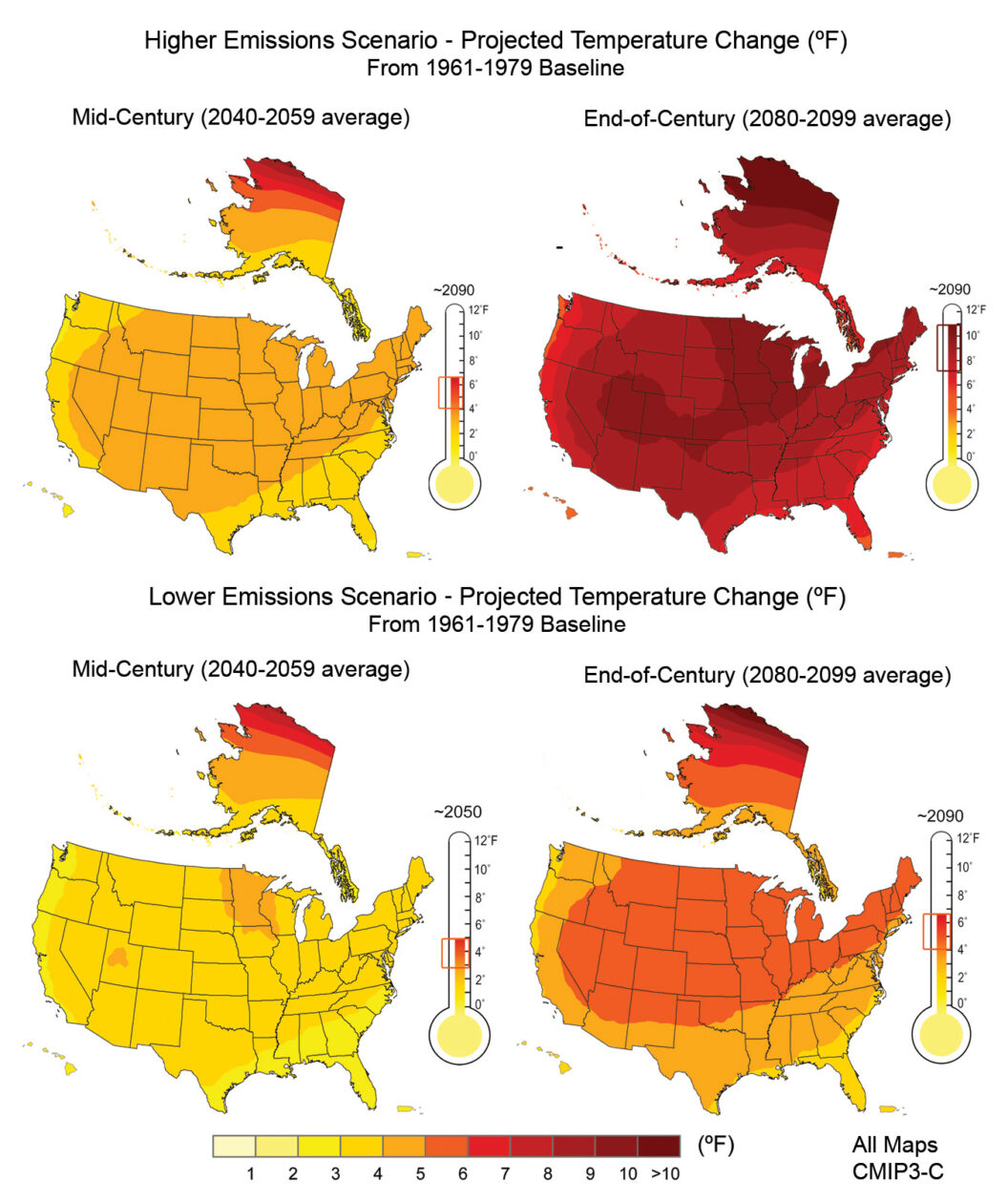From Soil to Sunshine: How Climate Affects Bean Farming