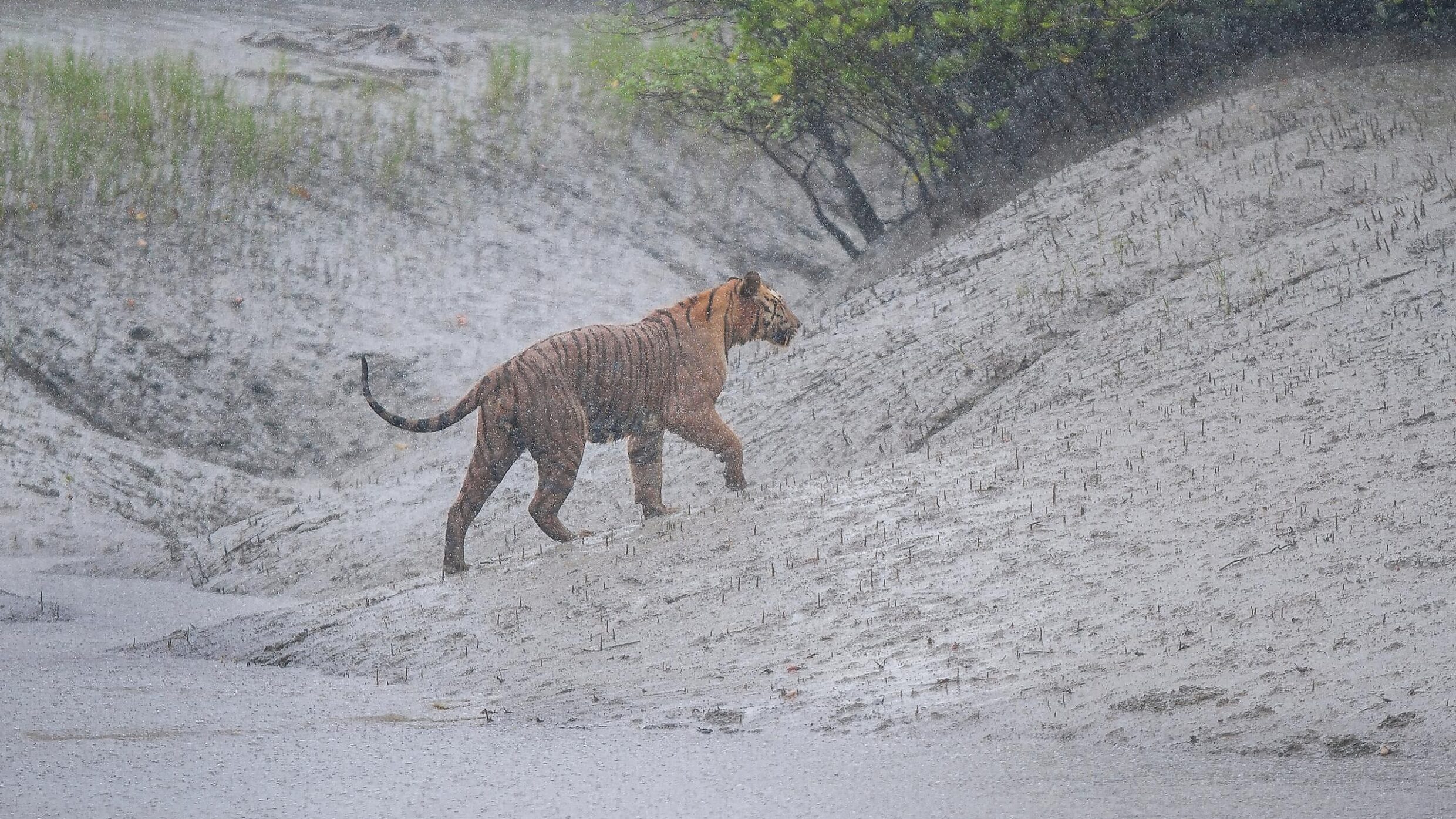 What Is a Climate? Definitions and Examples