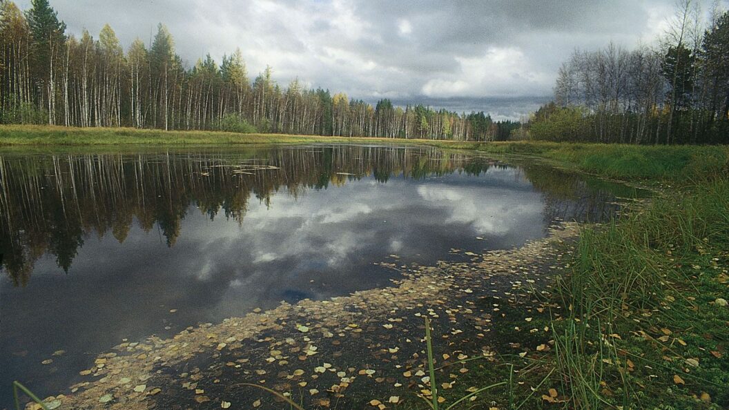 What Is Climate Like in Russia? From Siberian Winters to Black Sea Summers