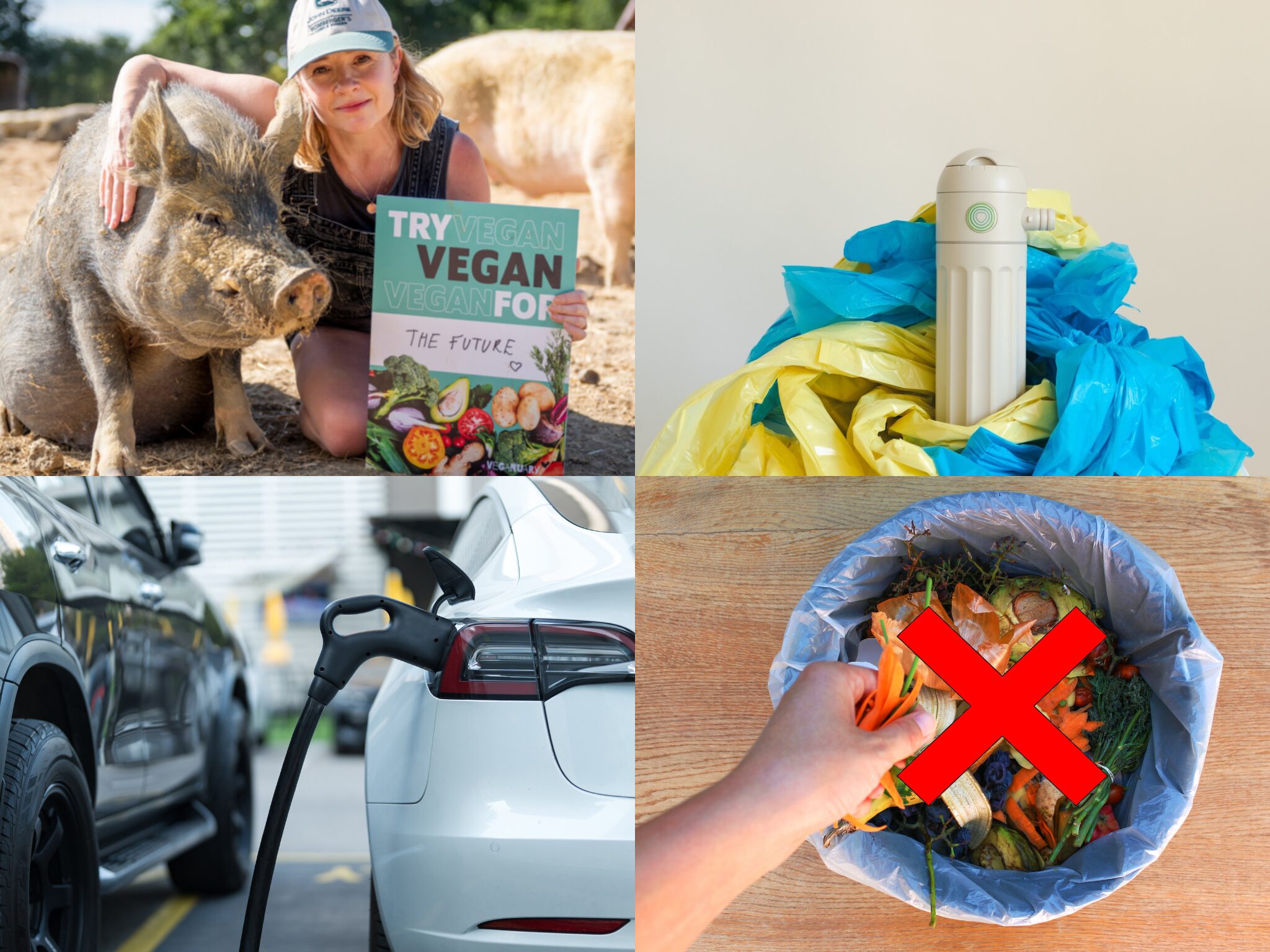 What We Can Do to Stop Climate Change: Simple Steps to Make a Big Impact