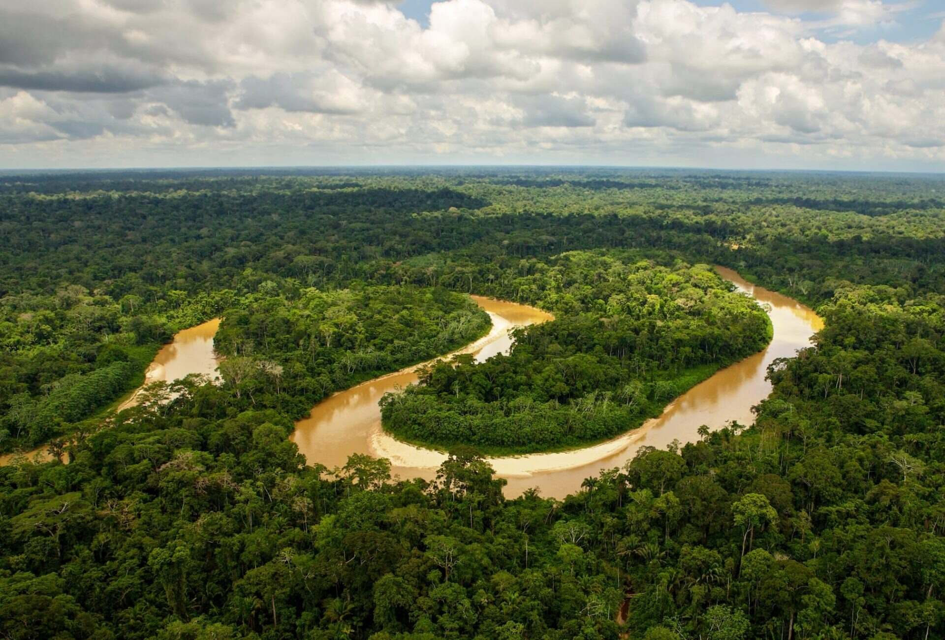 Biggest Animal in the Amazon Rainforest: Size Habitat and Facts