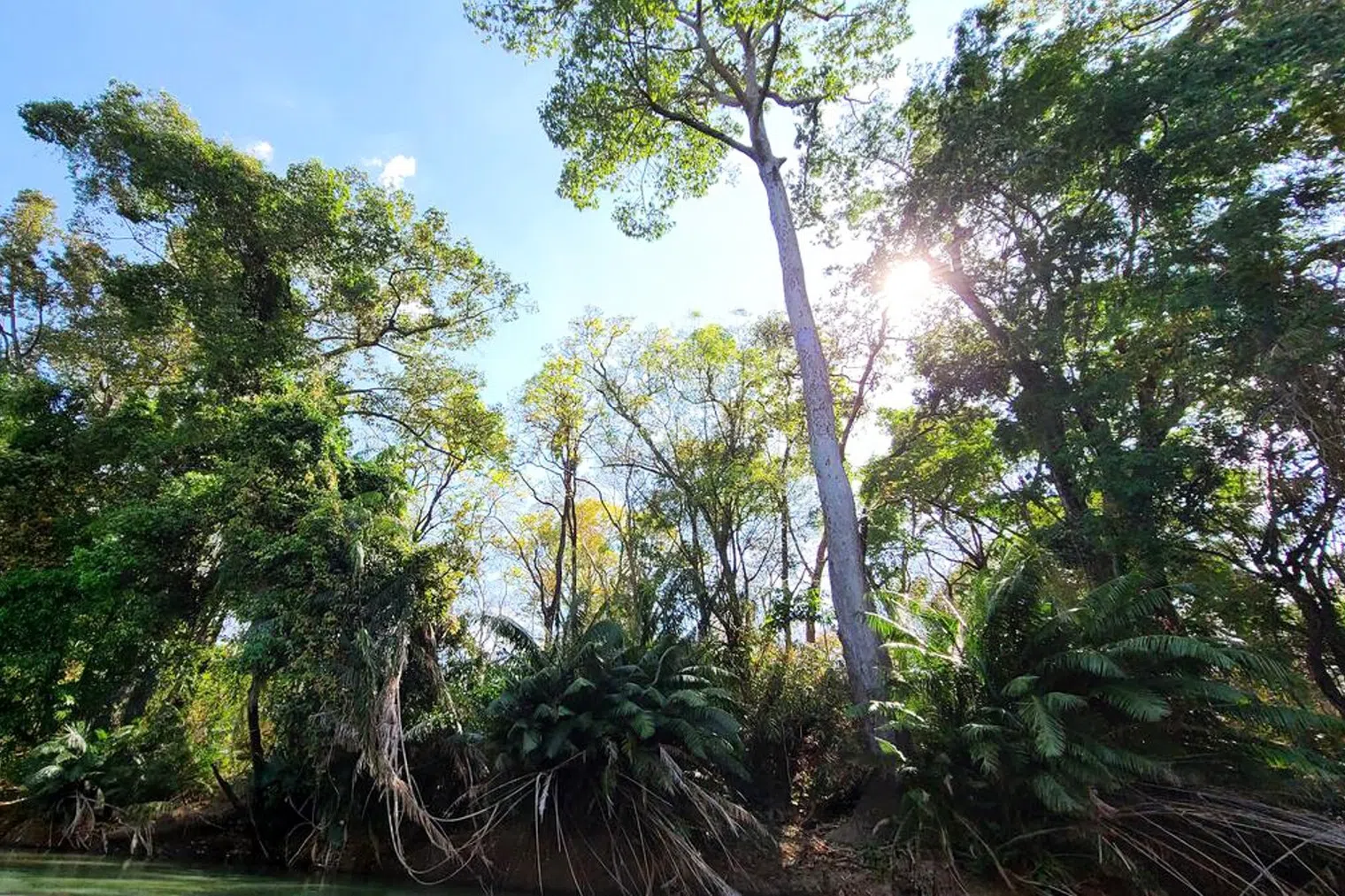 Community-Based Conservation for Critically Endangered Species in South ...