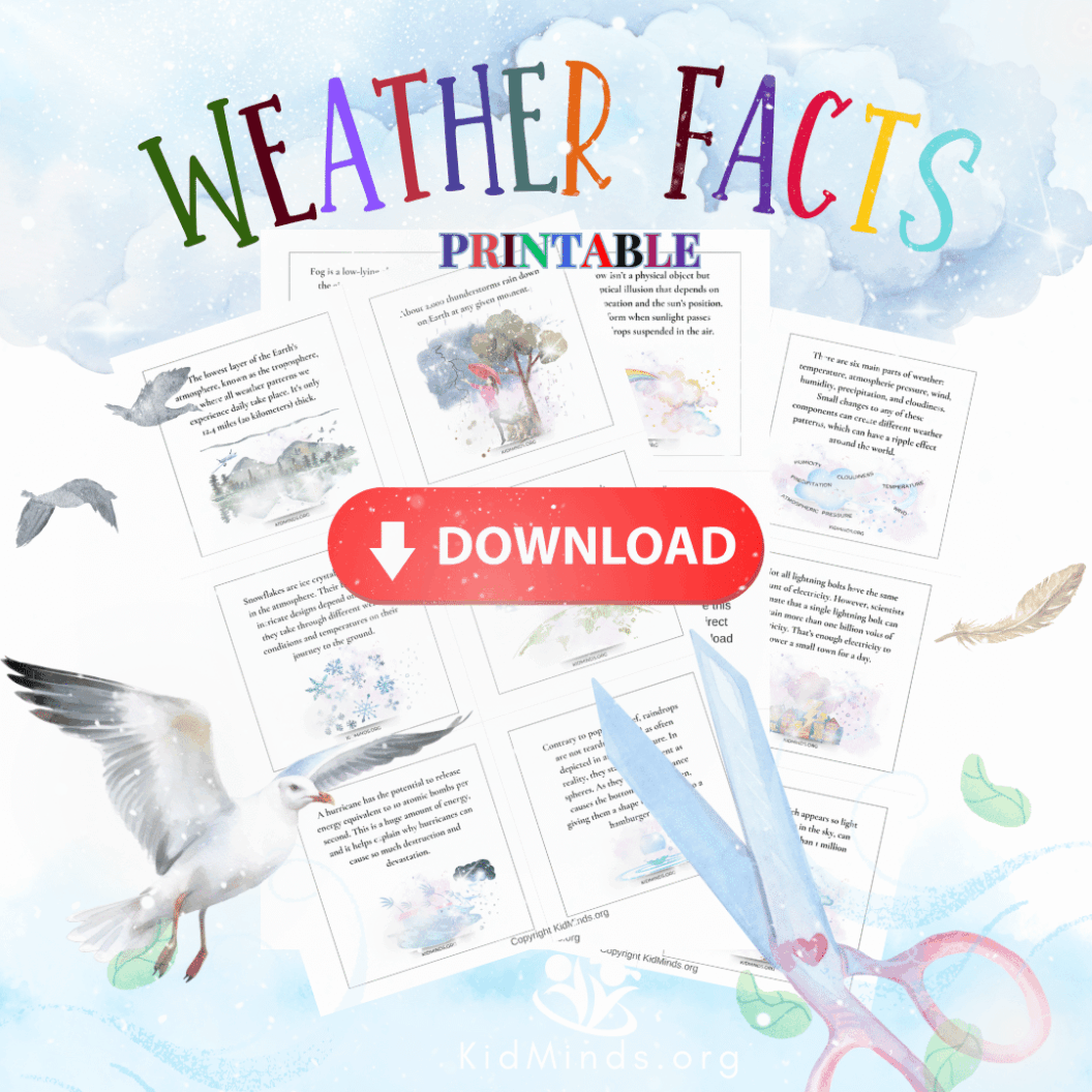 What Is the Climate in the Southeast? Humid Heat Hurricanes and ...
